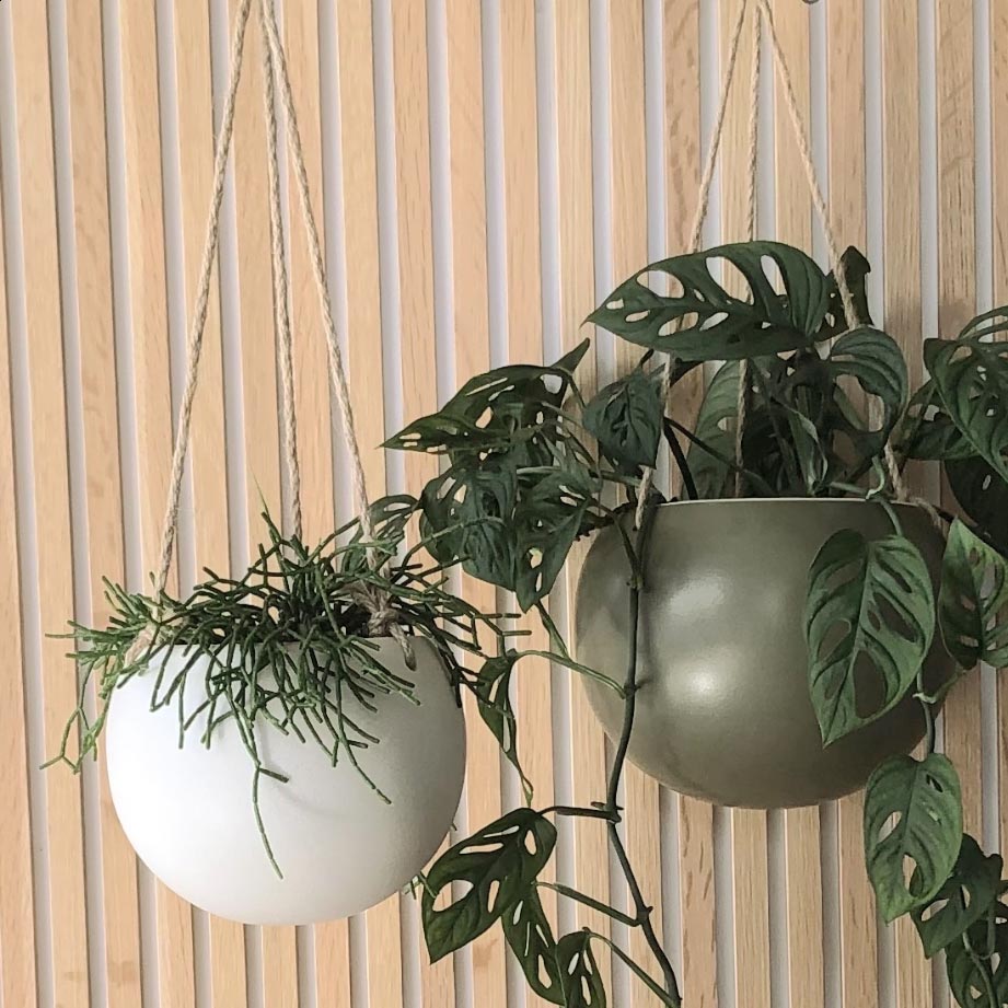 Potted Orbit Hanging Planter - Oatmeal - Hanging Plant Pots NZ | KOOP ...